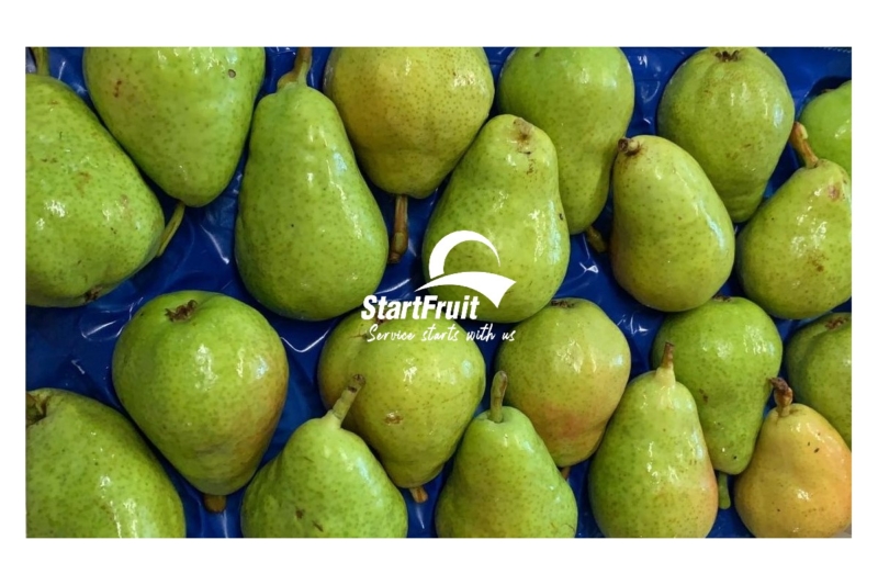 LIMONERA PEAR – StartFruit